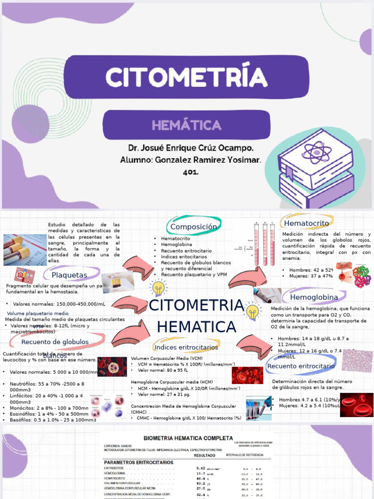 CITOMETRIA HEMÁTICA - Yosimar Gonzalez Ramirez | PDF | Sangre | Leucocito