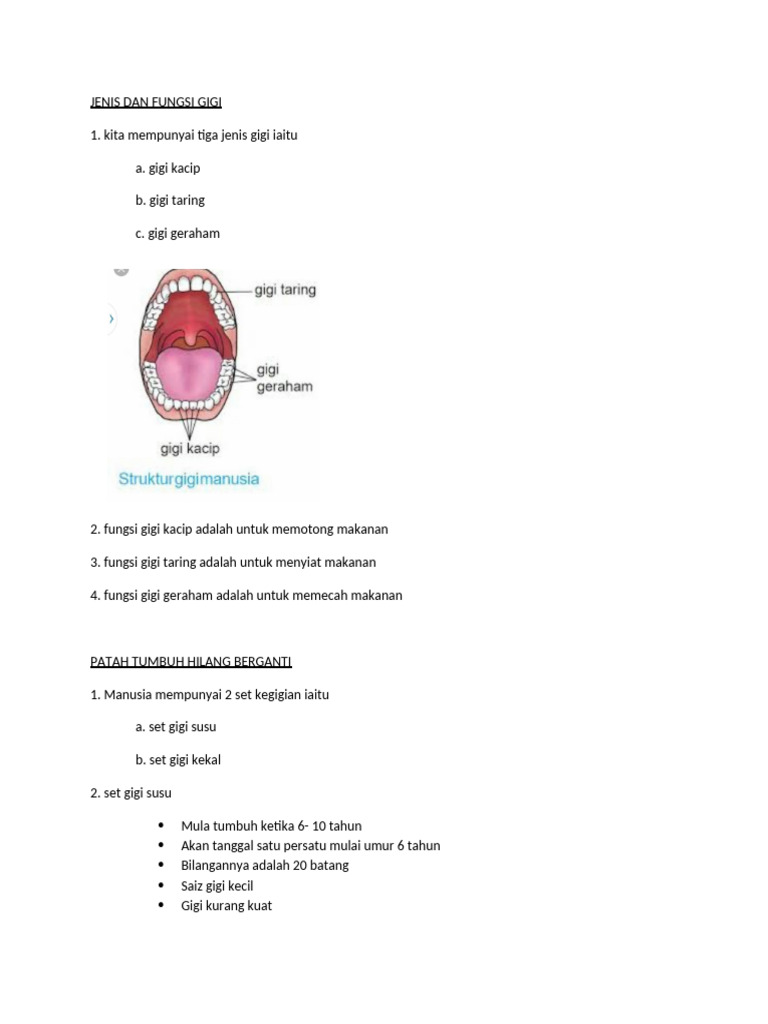 Jenis Dan Fungsi Gigi | PDF