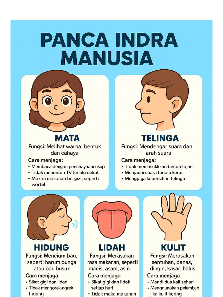 Modul Panca Indra SD | PDF