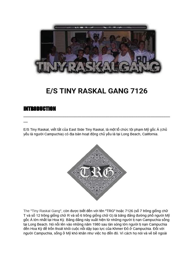 E - S Tiny Raskal Gang 7126 | PDF