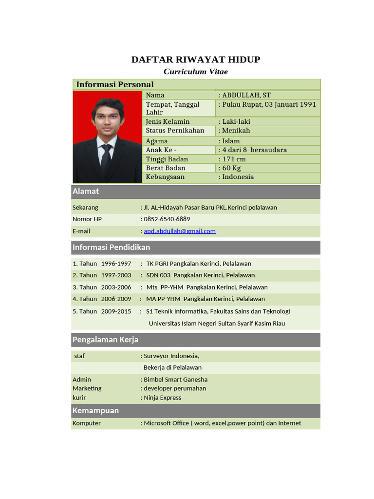 CV Abdullah | PDF