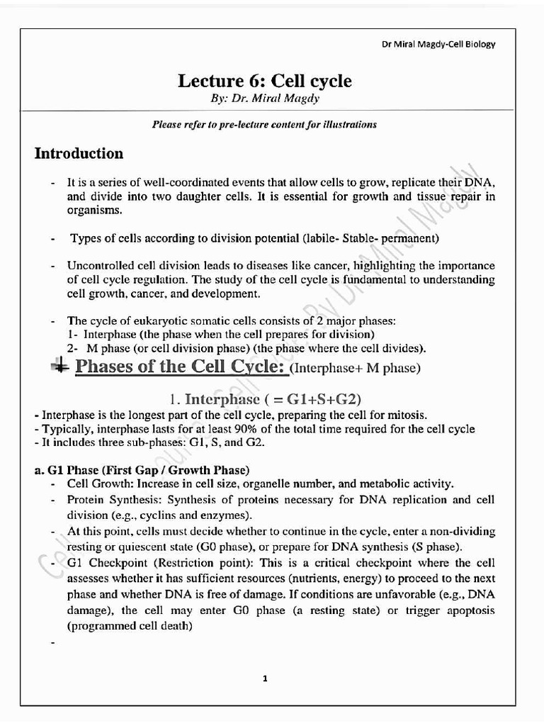 Lec 6 - Cell Cycle | PDF