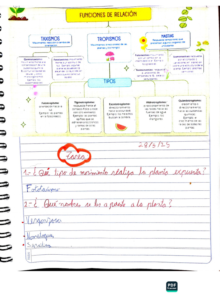 Funciones de Relación Ccnn | PDF
