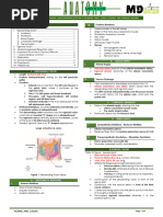 Anatomy of Appendix and Colon Explained | PDF | Large Intestine | Anatomy