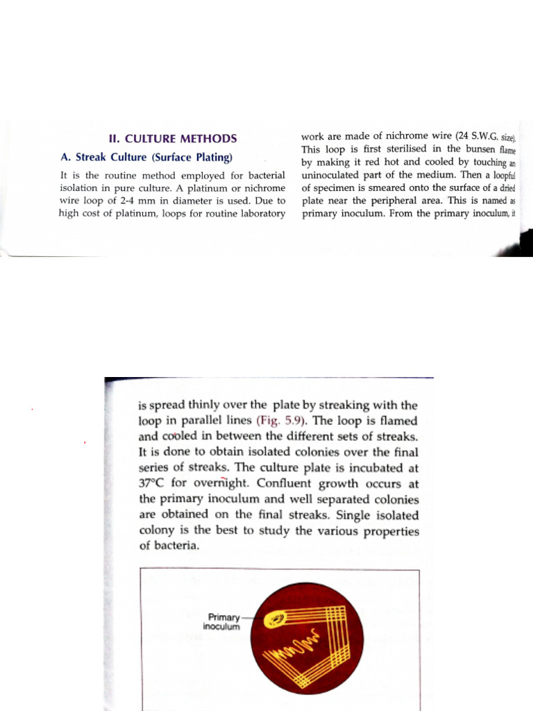 Culture Method | PDF