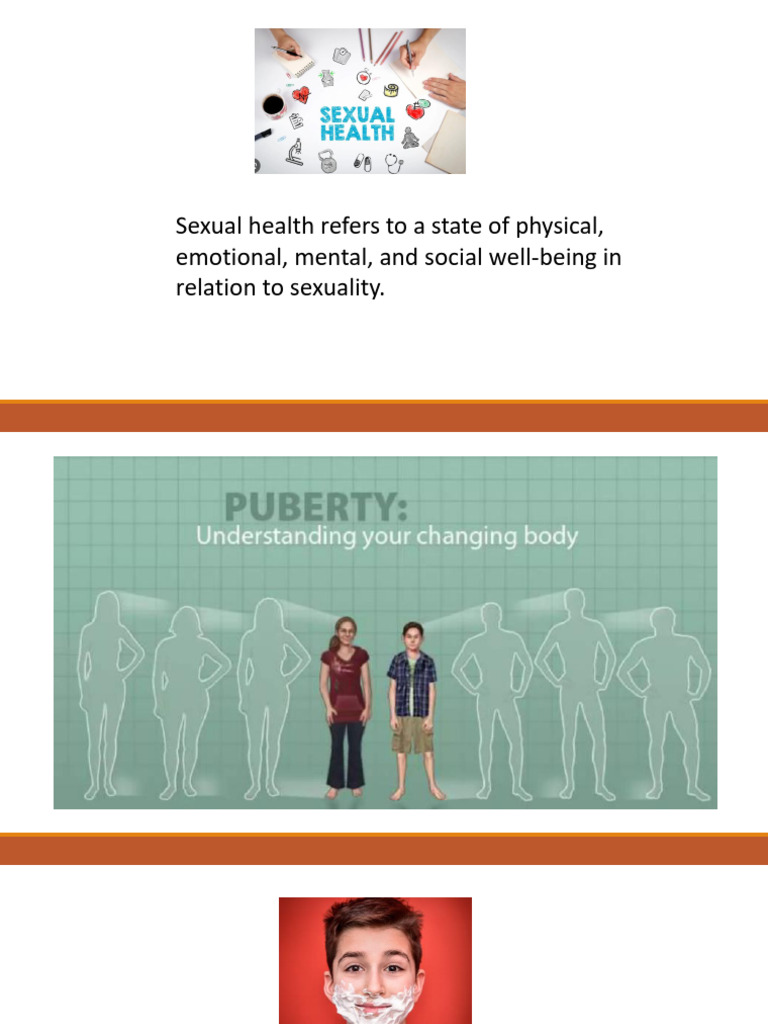 Puberty | PDF