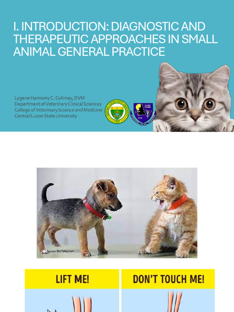 I. Introduction - Diagnostic Approach To Feline Diseases | PDF ...