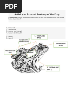 Anatomical Planes and Frogs External Parts | PDF | Anatomical Terms Of ...