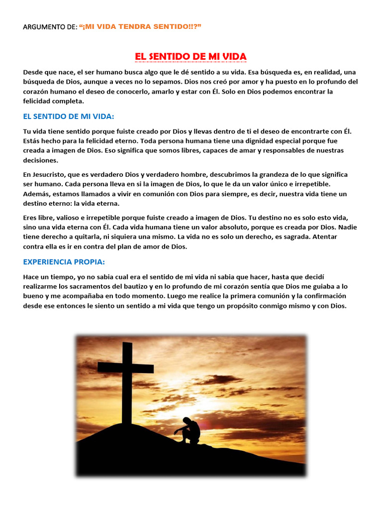 Argumento Del Sentido de Mi Vida. | PDF
