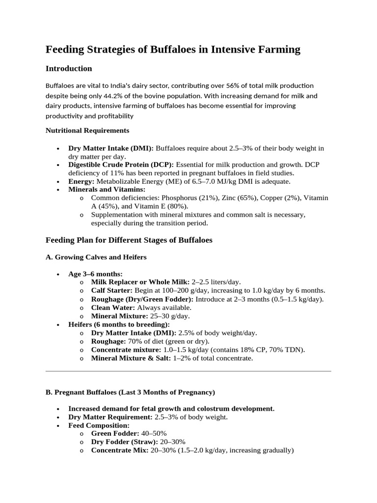 Buffalo Feeding Management Strategies | PDF | Milk | Maize