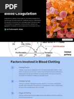 Blood Clotting Positive Feedback Mechanism | PDF