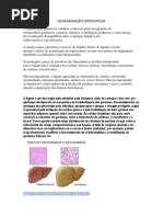 ABM Protocol #36 Matite Revisado 2022 | PDF | Seio | Inflamação