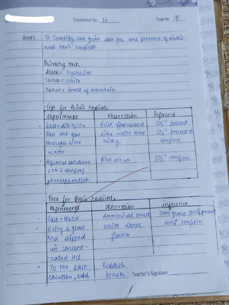 Practical on Acid Base Analysis | PDF