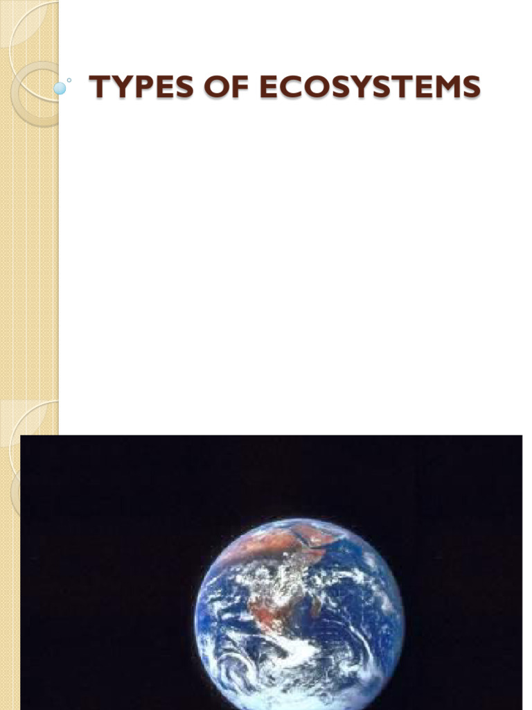 Types of Ecosystems and Biomes Explained | PDF