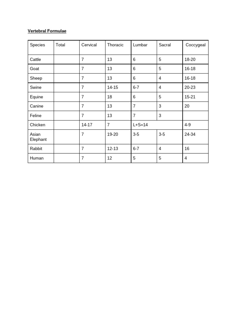 Vertebral Formulae | PDF