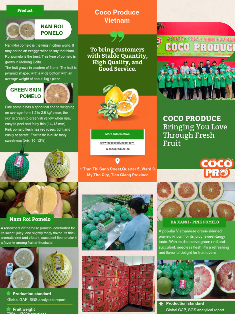Pomelo Brochure Coco Pro Update - Compressed | PDF | Fruit | Food Ingredients
