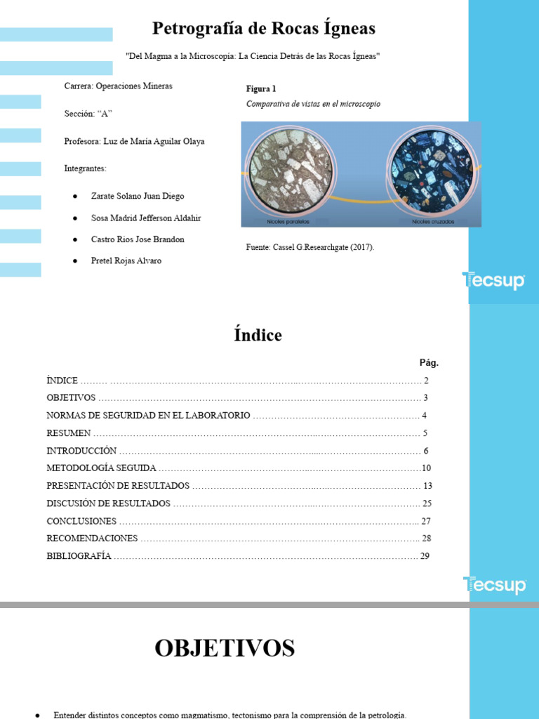 Lab 11 - Petrografia Ignea | PDF | Minerales | Roca (geología)