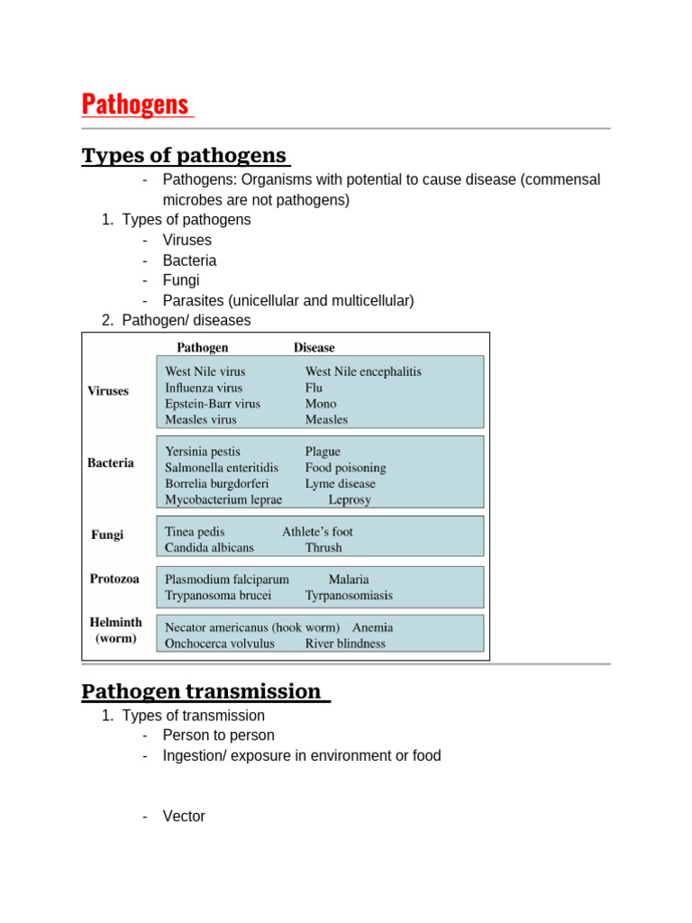 31-7 Notes - Immune System Basics | PDF | Immune System | Innate Immune ...