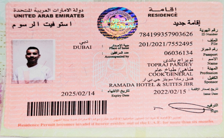 Visa Copy New | PDF