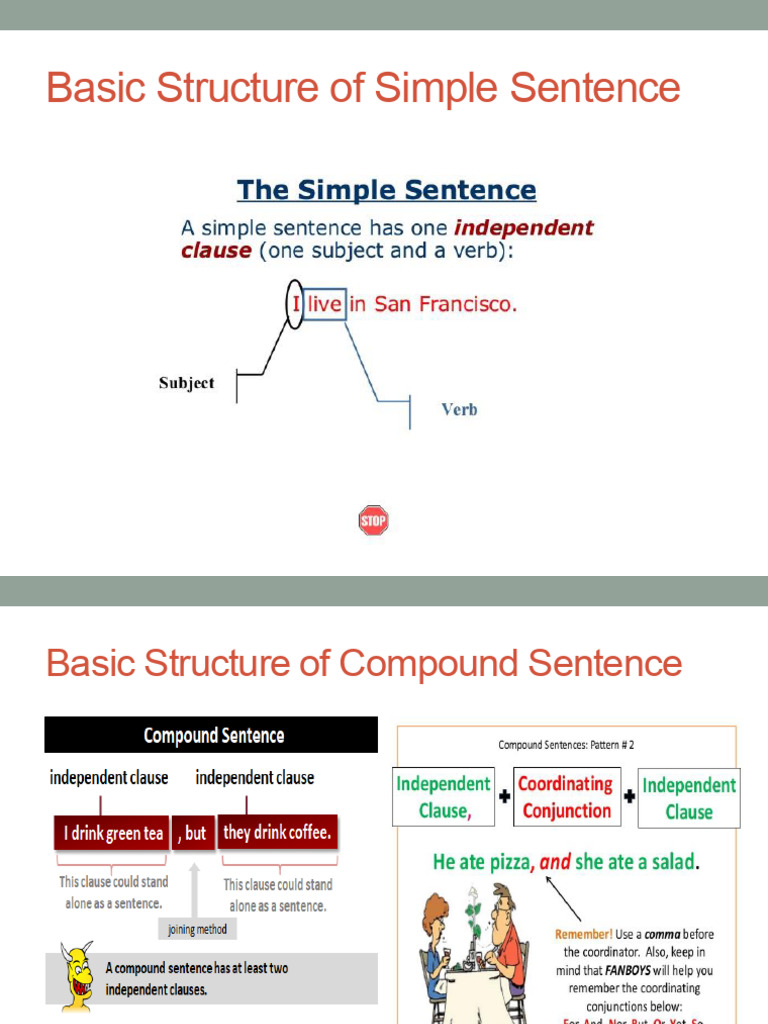 Transformation of Sentences | PDF | Linguistic Typology | Language Mechanics