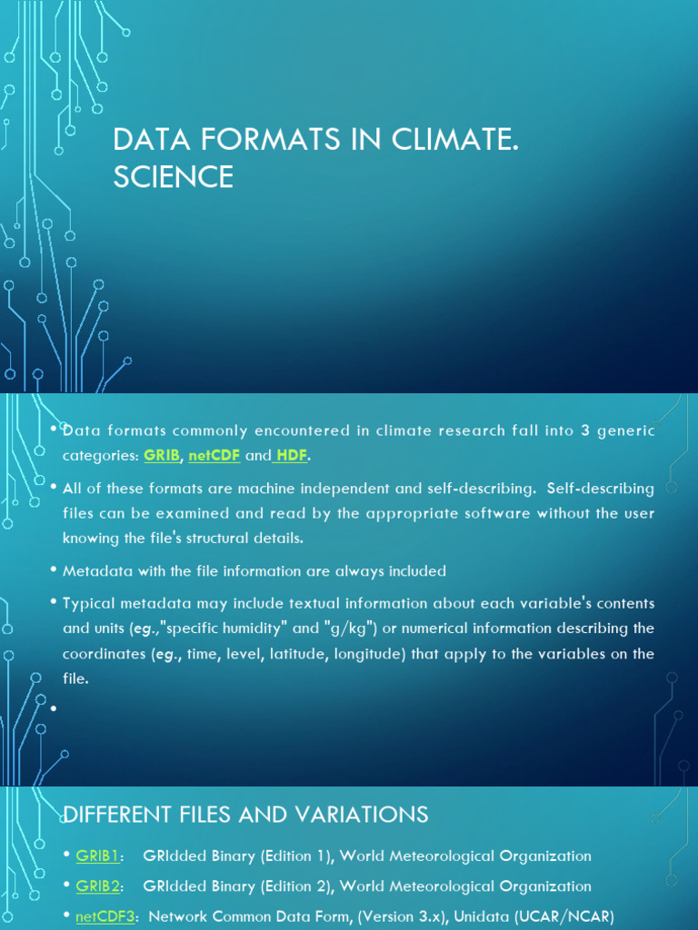 mcs308 Data Format Lecture | PDF | File Format | Metadata