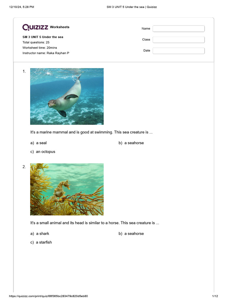 Under the Sea: Marine Life Worksheet | PDF | Zoology