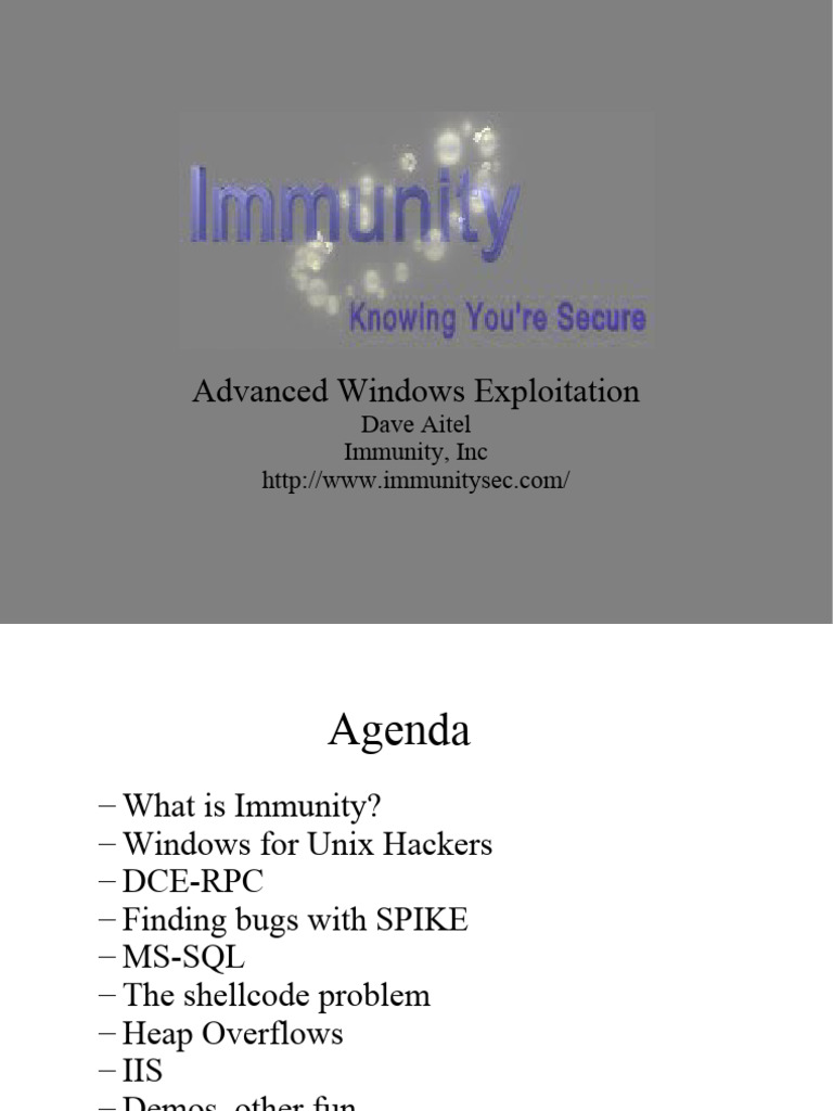 Advanced Windows Exploitation | PDF | Thread (Computing) | Pointer (Computer Programming)