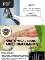 Short Opponens Spilint | PDF | Hand | Thumb