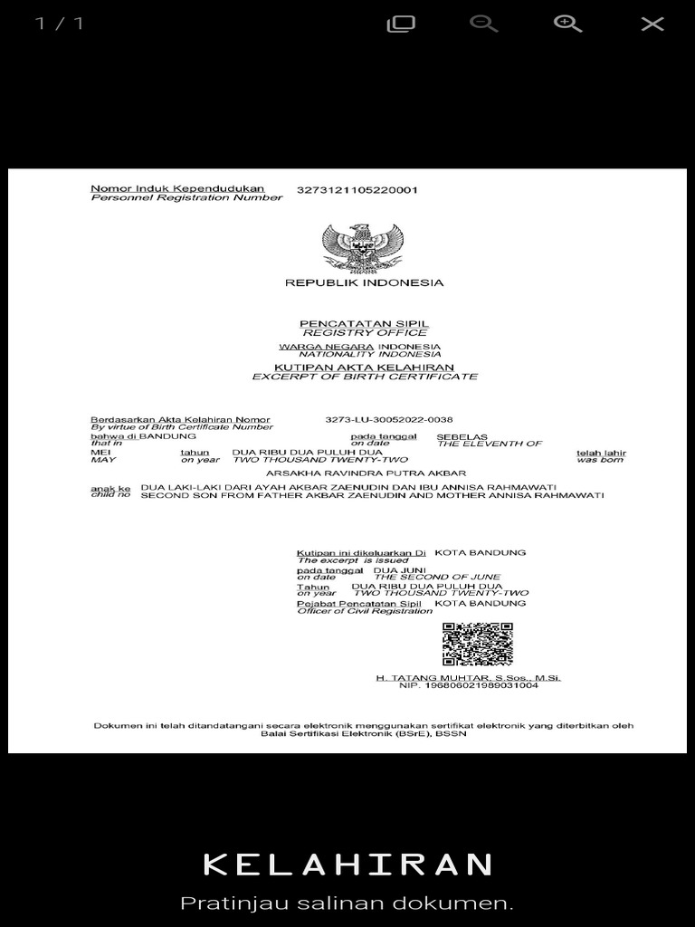 Integrasi SIAK Ditjen Dukcapil | PDF
