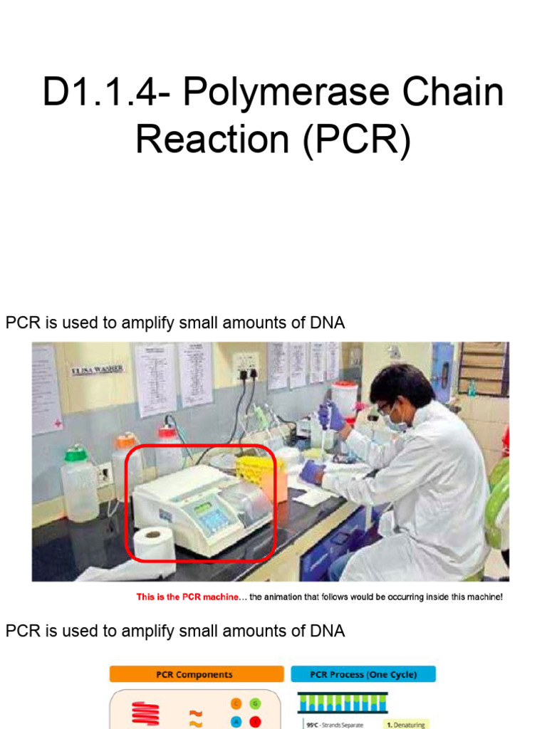 D1.1.4 - Polymerase Chain Reaction | PDF