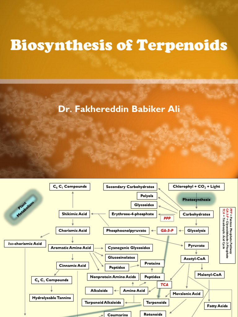 2 - Biosynthesis of Terpenoids | PDF | Metabolic Pathway | Biosynthesis