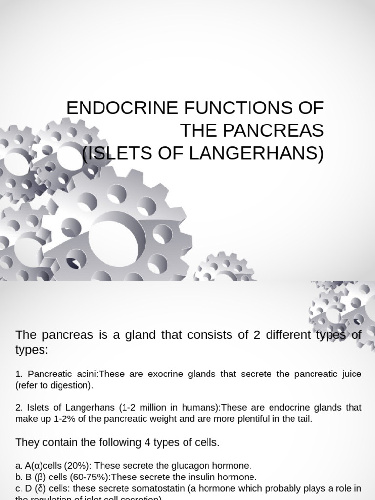 Endocrine Functions of The Pancreas Ysus | PDF | Insulin | Pancreas