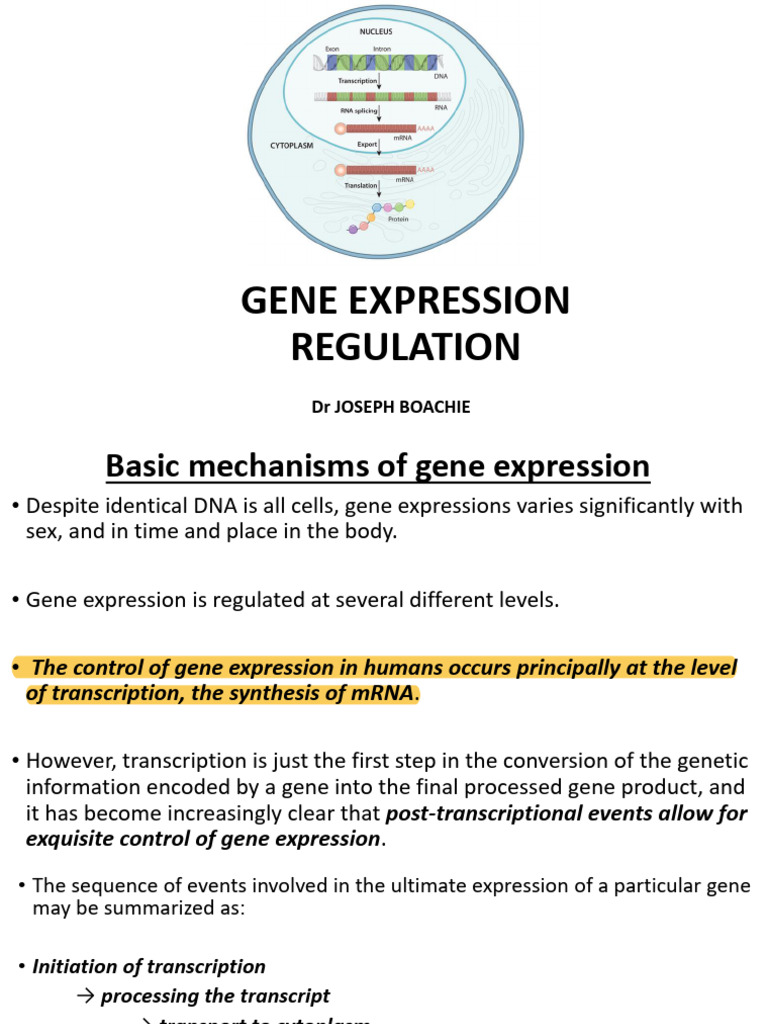 Lecture 5 - Gene Expression | PDF | Operon | Repressor