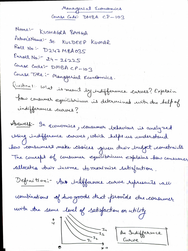 103 Managerial Economics Kushagra Banga | PDF