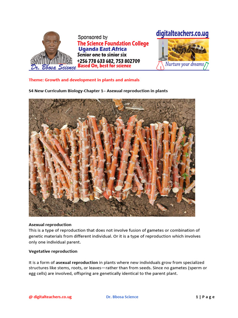 S3 New Curriculum Biology Chapter 9 - Development in Plants and Animals ...