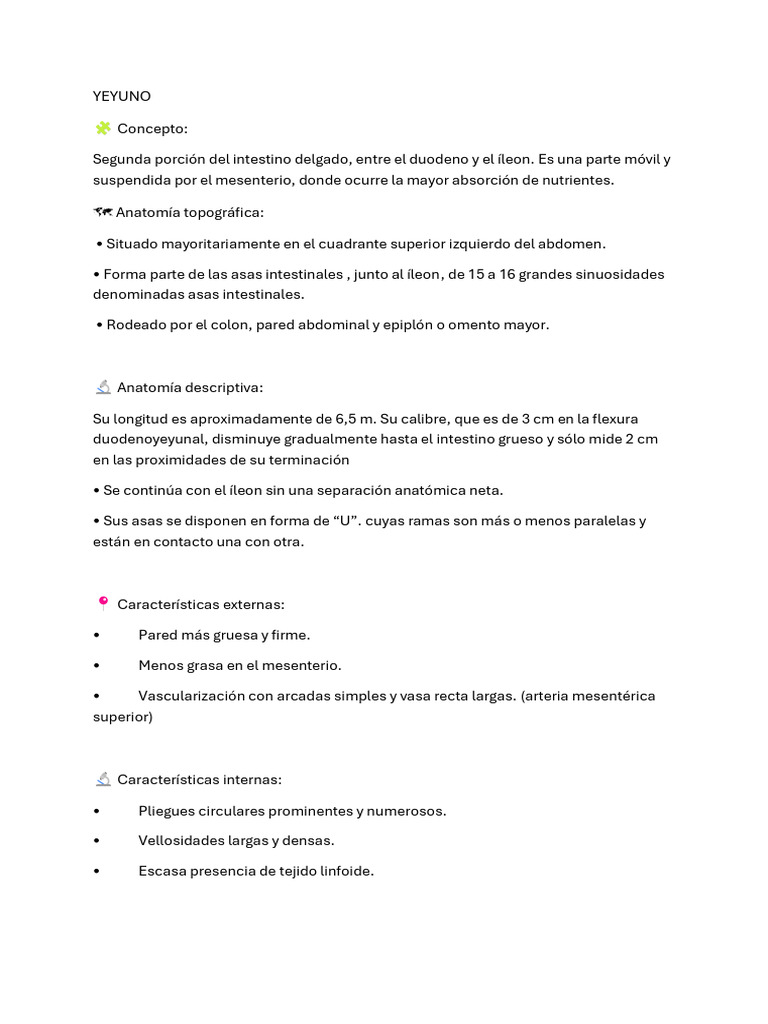 Anatomía y características del yeyuno | PDF | Tracto gastrointestinal ...