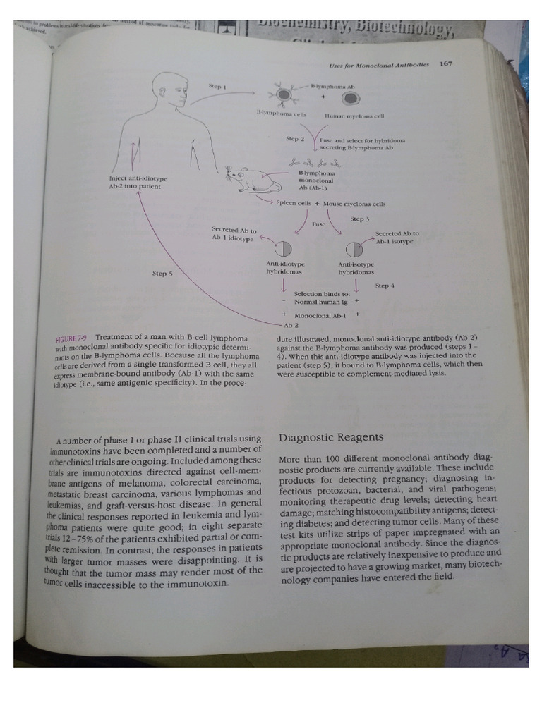 Imp Diagrams | PDF