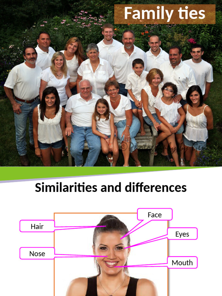 Vocabulary Family Ties | PDF