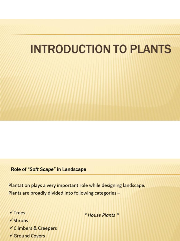 Introduction To Plants | PDF | Shrub | Plants