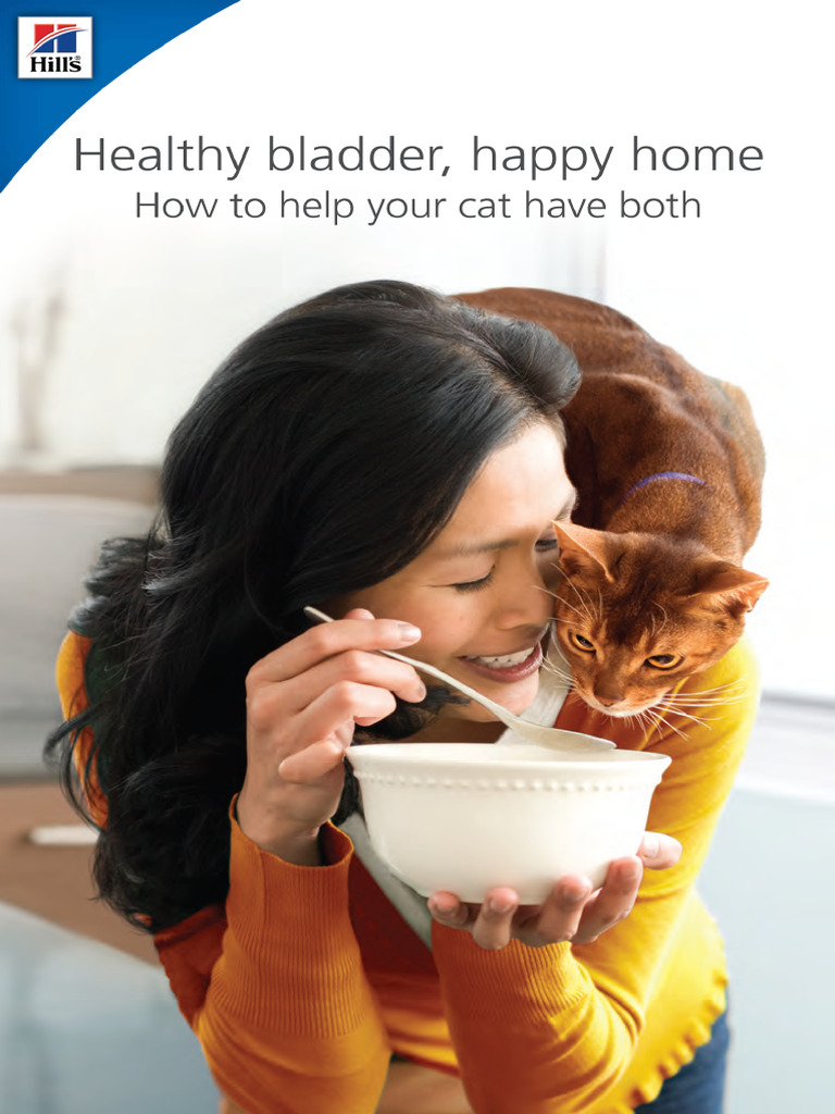 Hills Happy Bladder Brochure | PDF