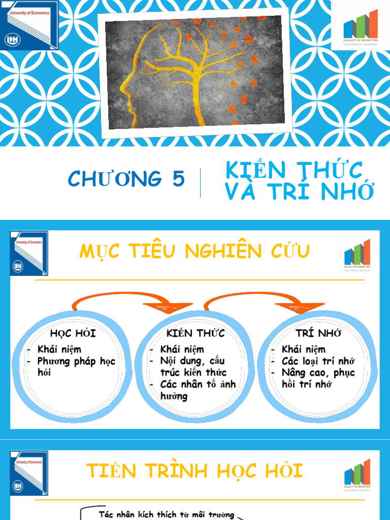 Chapter 5-Consumer Behavior | PDF