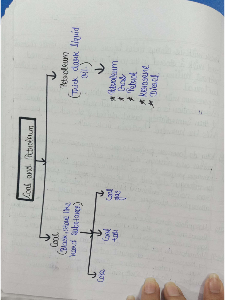 Chapter 3 Class 8th | PDF