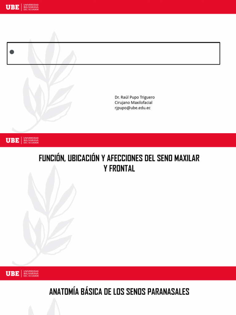 Diagnóstico de Senos Paranasales | PDF | Nariz humana | Especialidades ...