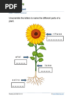 ARU London VLE Access Guide | PDF