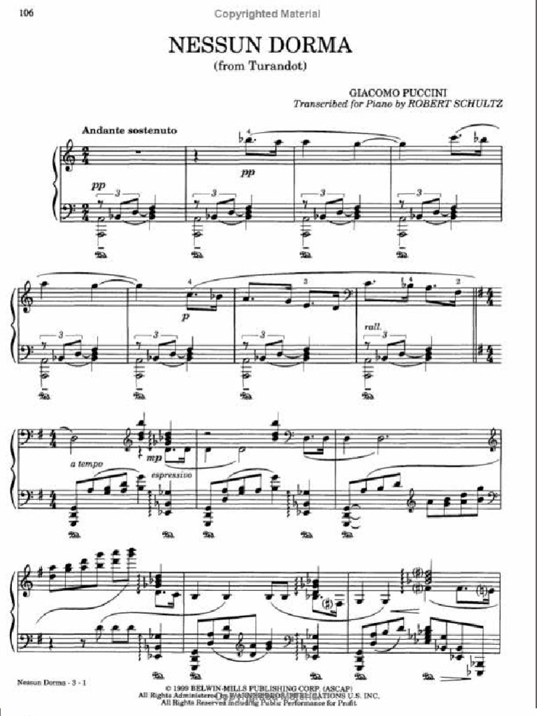 Nessun Dorma | PDF