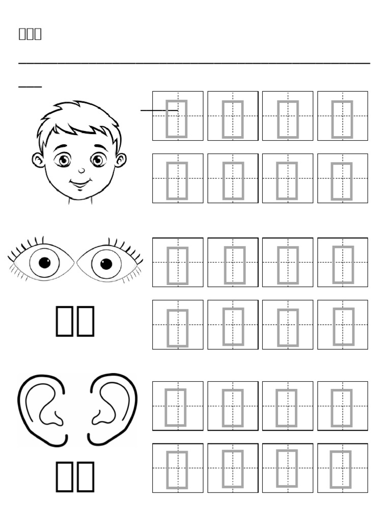 My Body Worksheets m8 | PDF