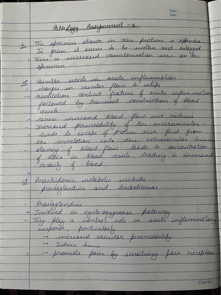 Path Assignment 2 | PDF