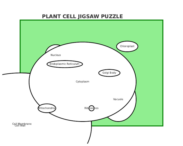 Plant Cell Jigsaw Puzzle | PDF
