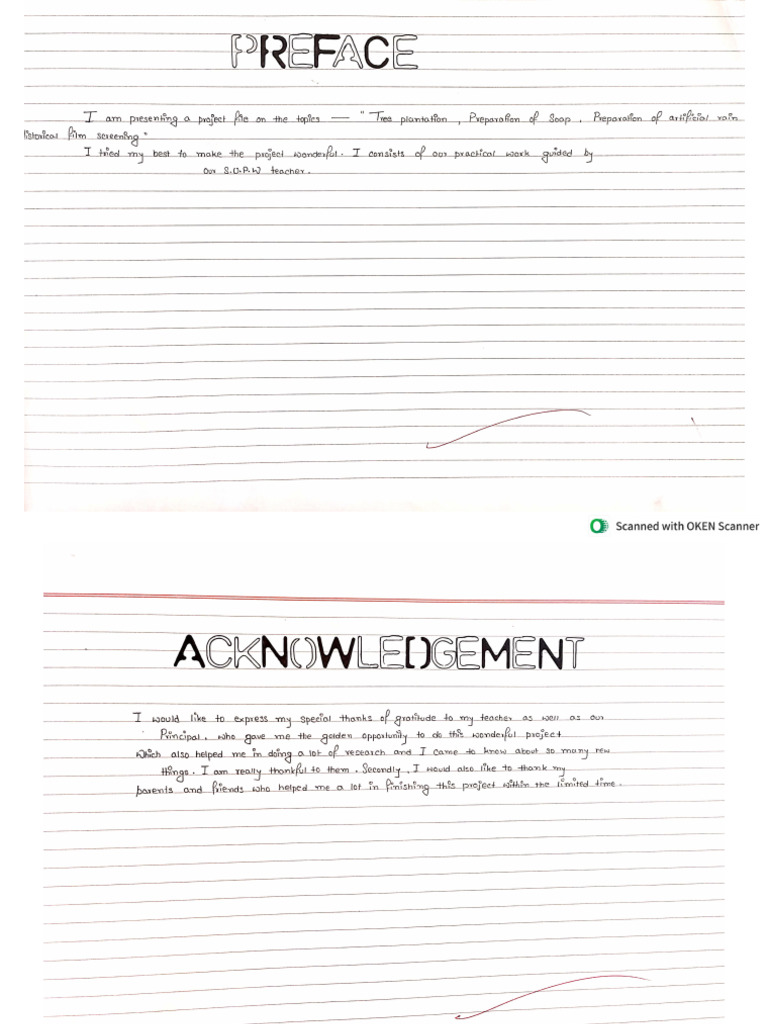 SUPW Project. XII | PDF