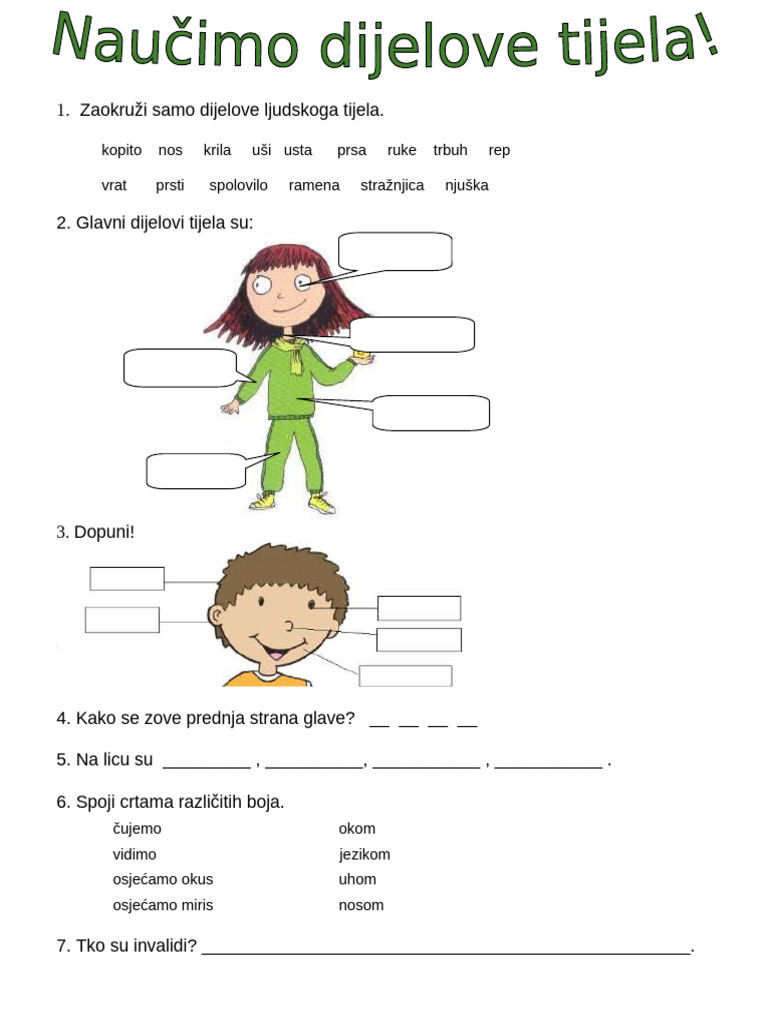 Dijelovi Tijela Listic | PDF